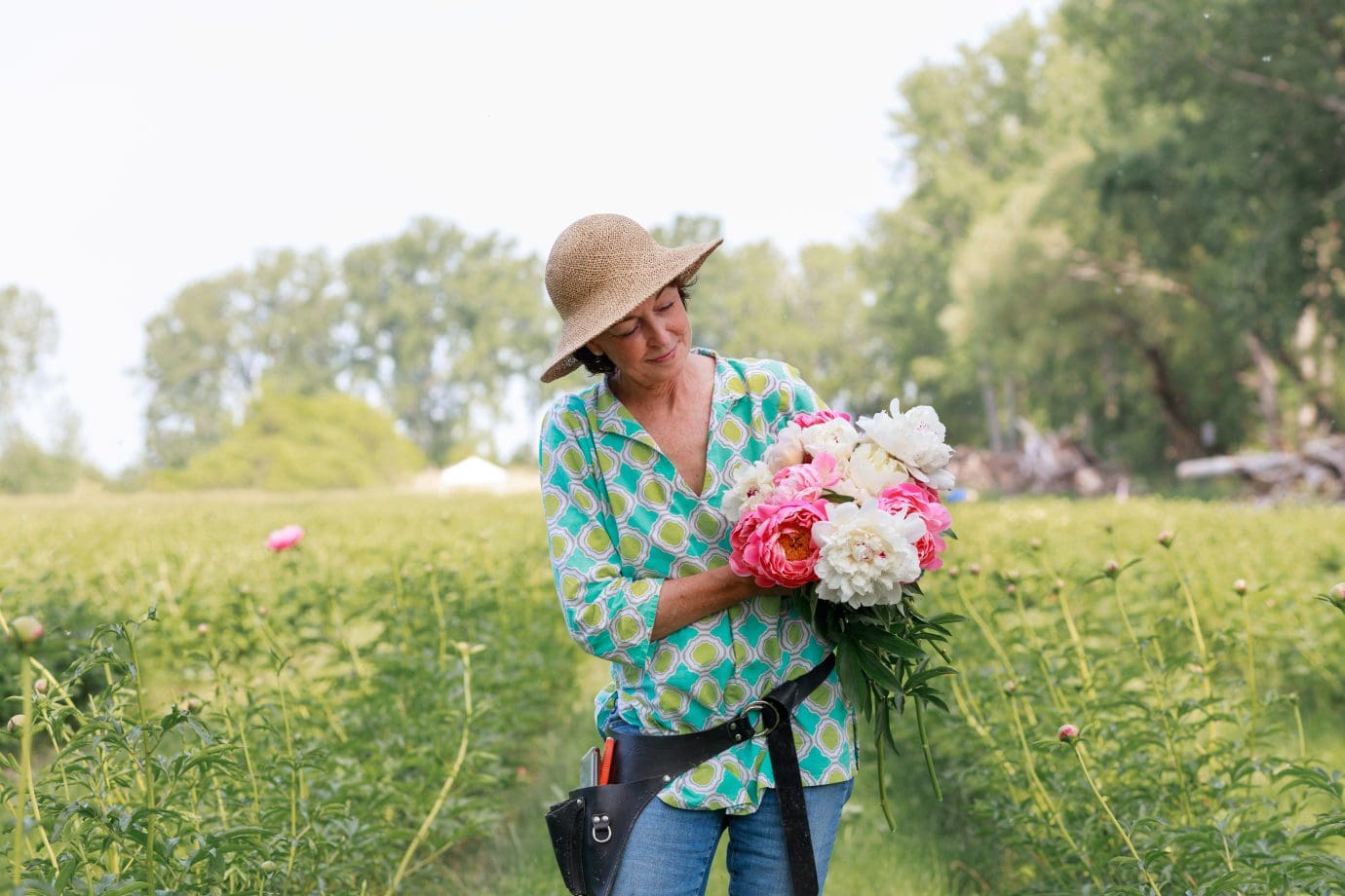 → Pick your own Flowers Ontario · Peony flower farm · Fleur de Roy