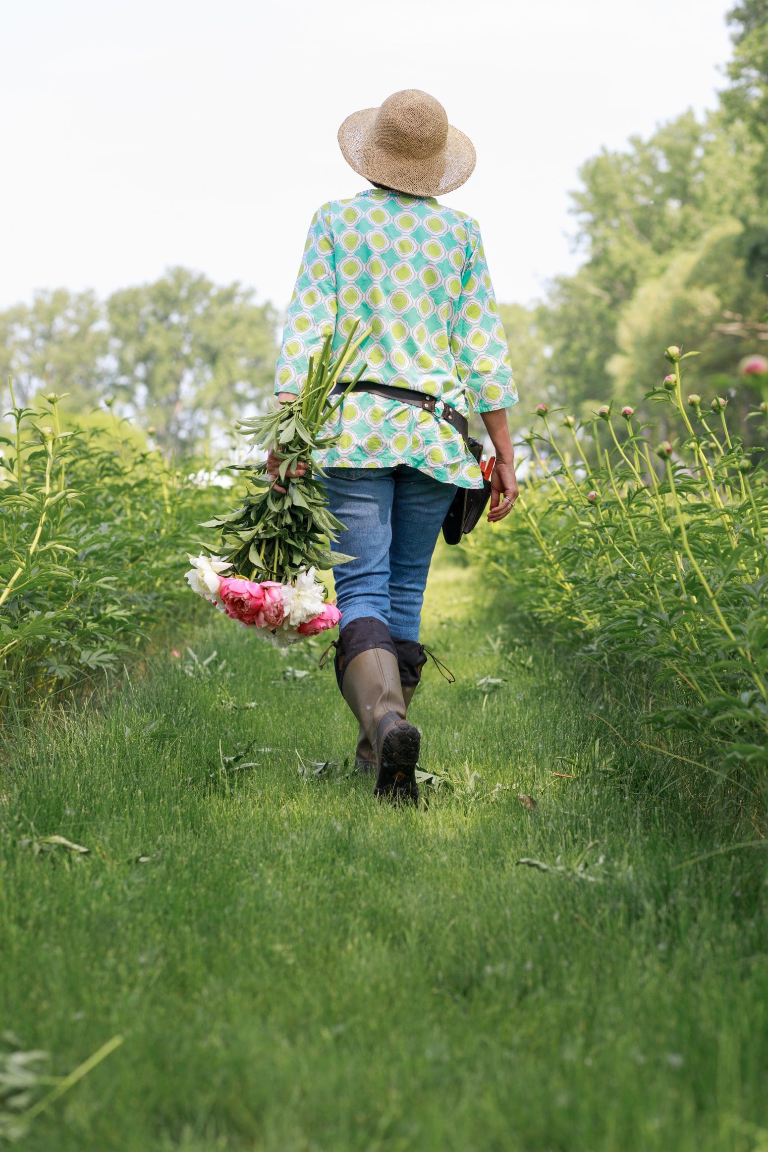 → FLEUR DE ROY · Ontario Pick Your Own Peony Flowers